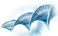 The Science Behind DNA Testing Accuracy in Columbia SC